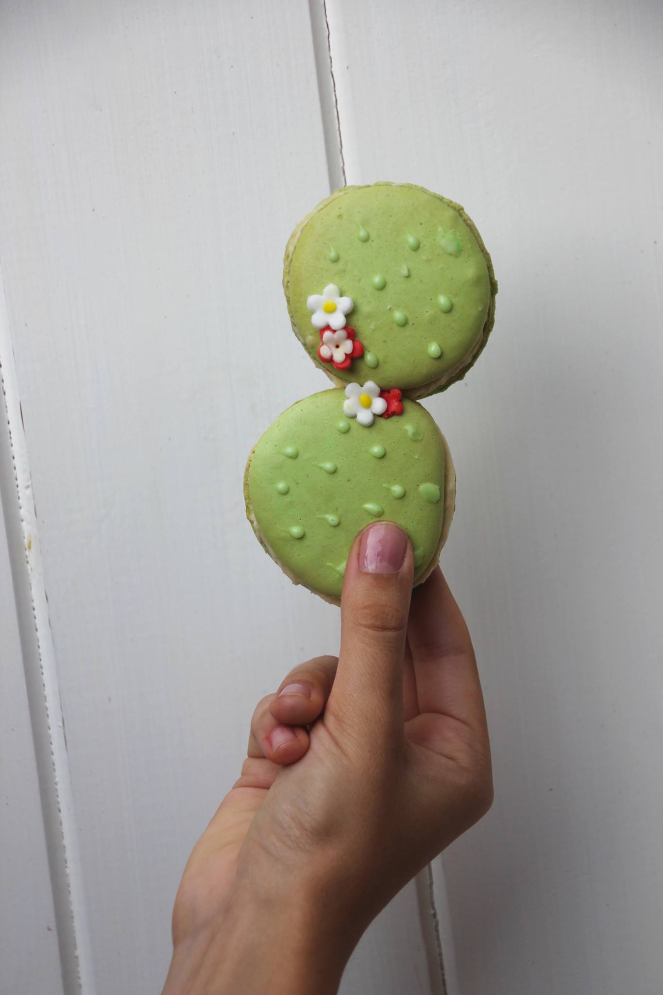 Cactus Macarons