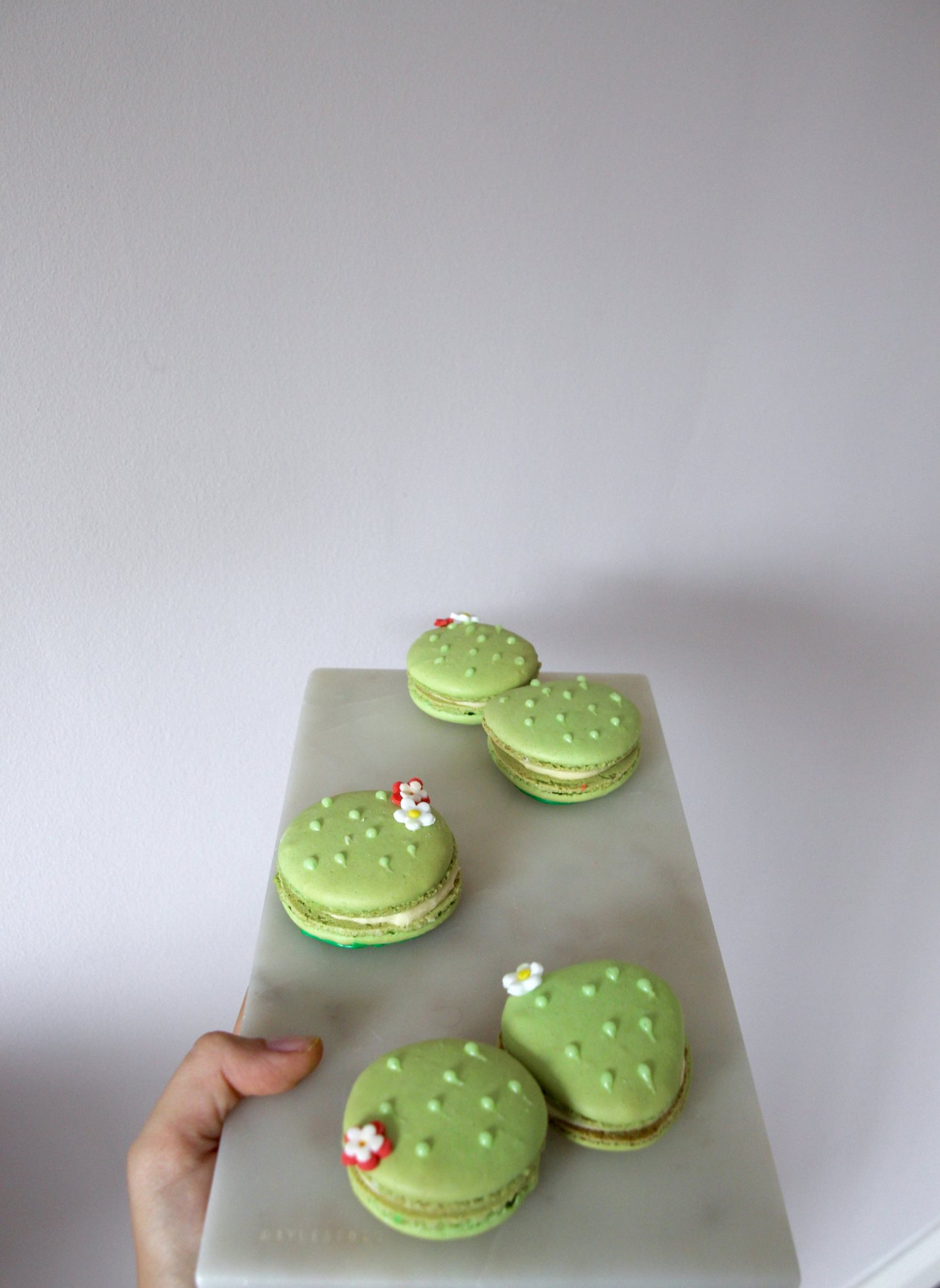 Cactus Macarons