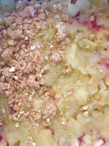 Apple + Raspberry bars