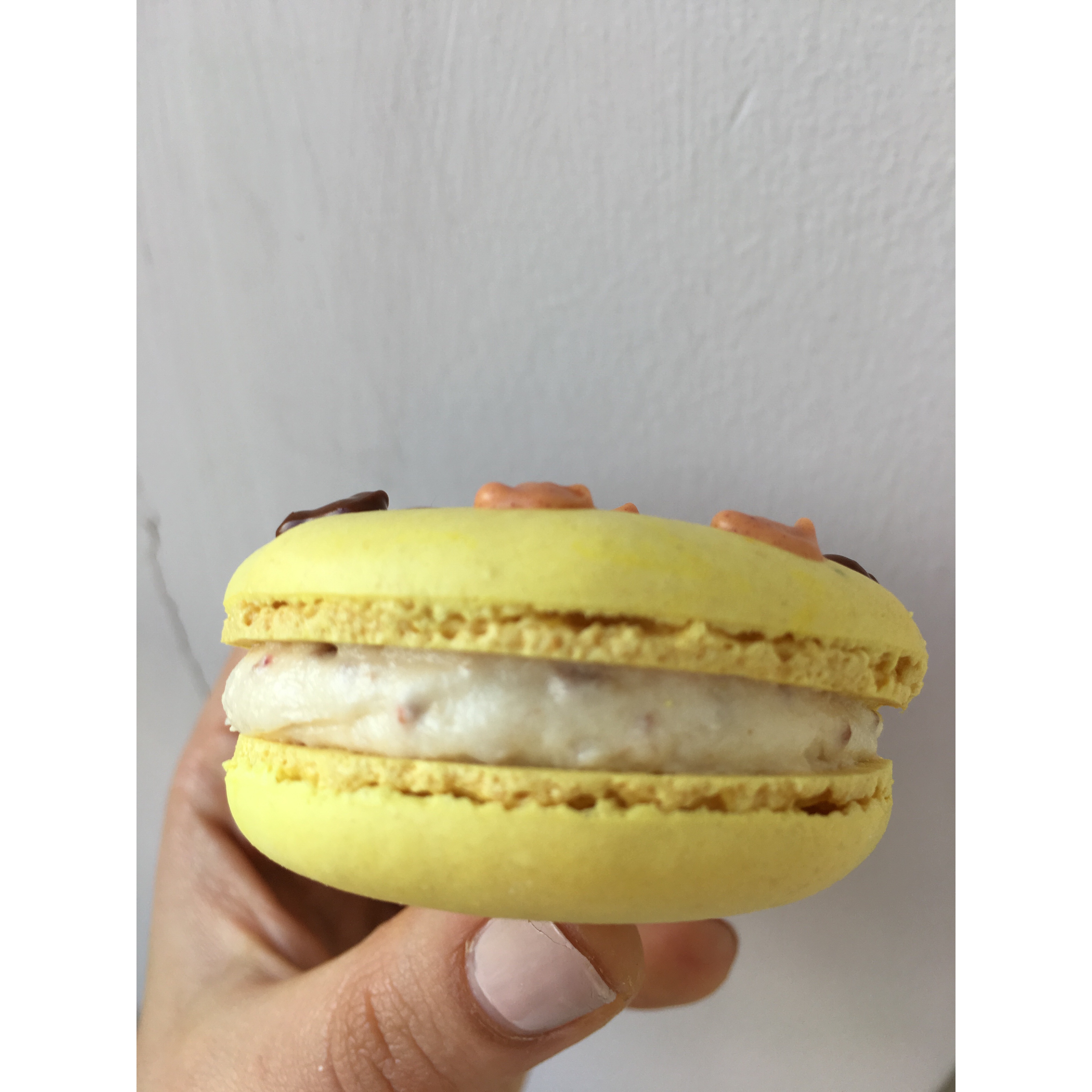 Mini Egg Macaron Chicks